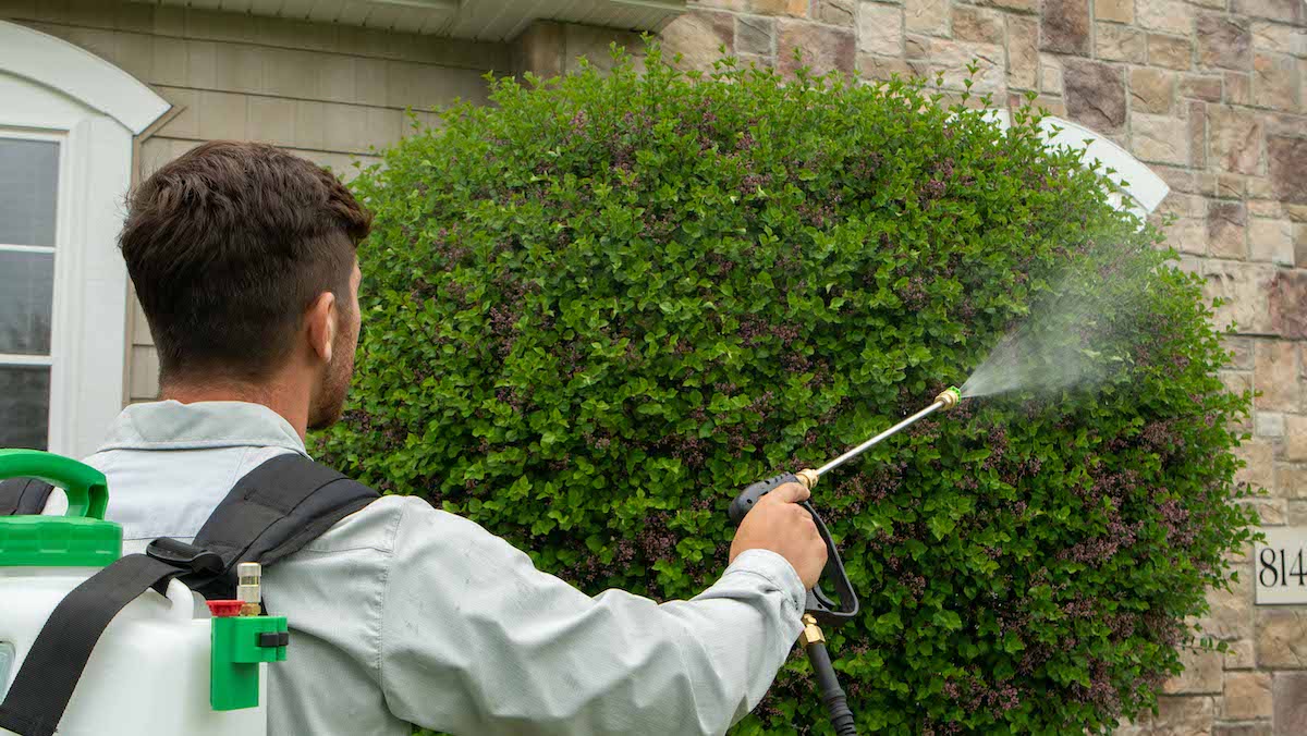 Tree and Shrub Care in Lake County, OH | Geauga & Cuyahoga | Turf Pride